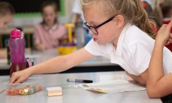 LPDS - Lancashire Professional Development Service